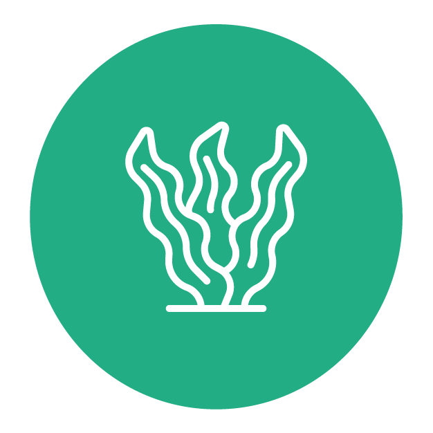 Ocean Harvest Technology » Feed