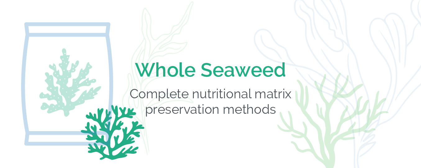 Ocean Harvest Technology » Feed